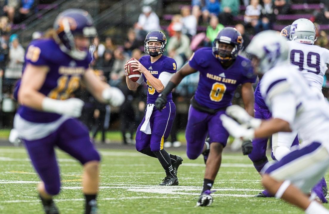 Wilfrid Laurier - Golden Hawks Fly High - Cosmos Sports & Entertainment